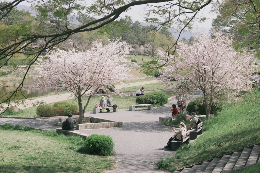 10 Japanese Spring Holidays You Should Know(A Quick Guide to Vocabulary ...